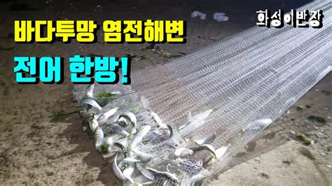 바다투망 염전해변 야간투망 전어 한방 Youtube