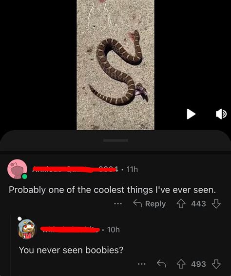 Umm Ackshually Boobs Are Way More Interesting Than The Reptilian Nervous System In Its