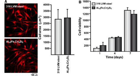 A Confocal Maximum Projections Showing Glutaraldehyde Fixed Cells Red Download Scientific