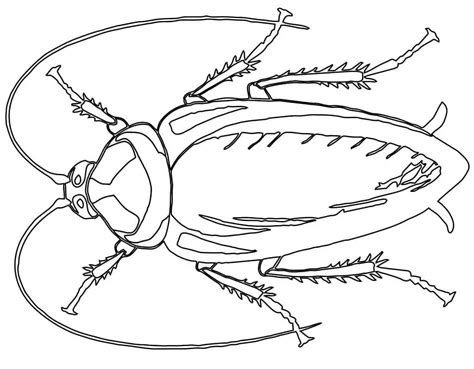 Cockroach Printable