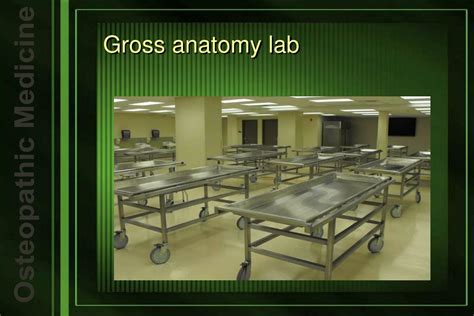 Ppt Detroit Medical Center Msucom Dmc Powerpoint Presentation