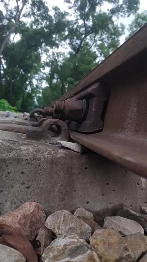 Choo Choo Album On Imgur