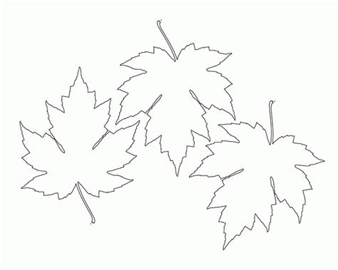 Sycamore Leaf Template Coloring Nation