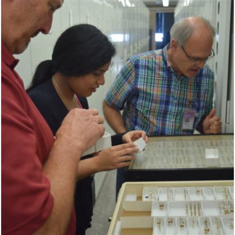 Charles Eiseman Msc Botany Field Naturalist Research Profile