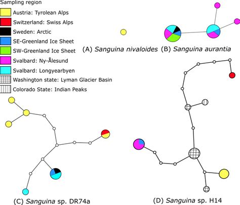 Geogr A Phic Distribution Of Sanguina Species Based On Molecular Its2