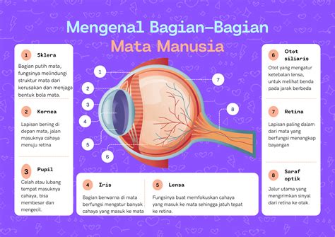 Melihat Karena Cahaya Mata Manusia Bagian Bagian Dan Fungsinya Materi Ipas Kelas 5 Sd Mi