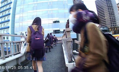 Pcolle 制服美少女図鑑 某有名女子校の少女たち2 2本セット 895385dfdad12d3ce5