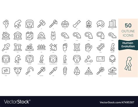 Set Of Human Evolution Icons Thin Linear Style Vector Image