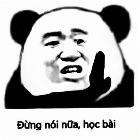 Ảnh Meme Gấu Trúc Troll Bựa Siêu Hài Hước Lầy Nhất