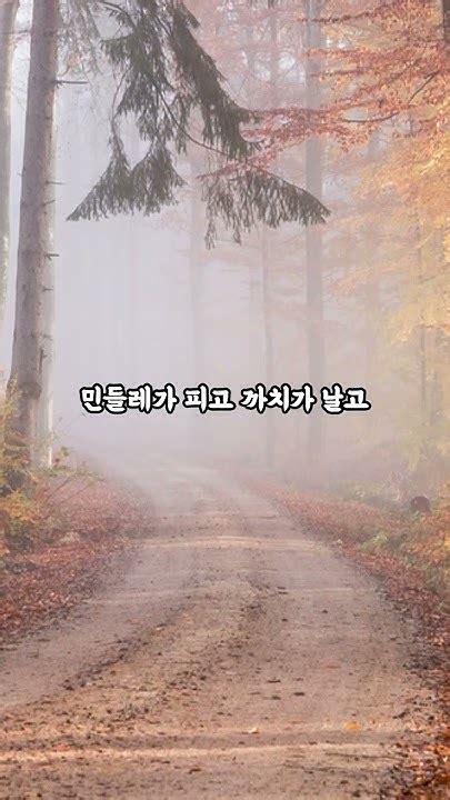 새로운 길 윤동주 시 Youtube