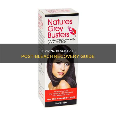 Reviving Black Hair Post Bleach Recovery Guide Shunsalon