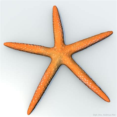 블루와 오렌지 불가사리 3d 모델 14 3ds C4d Dae Fbx Obj Free3d