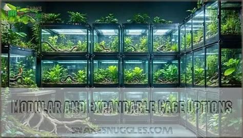 Ball Python Enclosure Setup Complete Guide To Safe Healthy Habitats