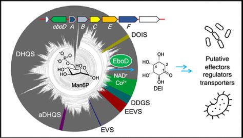 Acs Chemical Biology Vol 19 No 11 Acs Publications