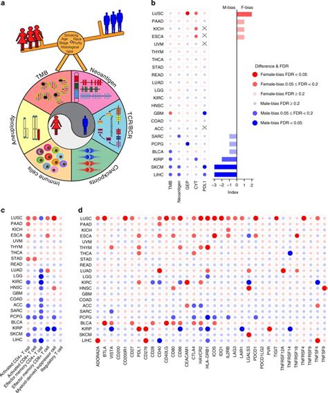 Sex Associated Molecular Differences For Cancer Immunotherapy Pmc