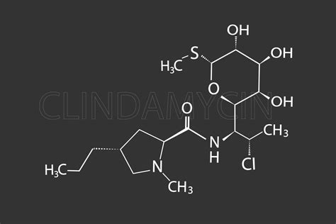 Clindamycin Molecular Skeletal Chemical Formula 37960265 Vector Art At