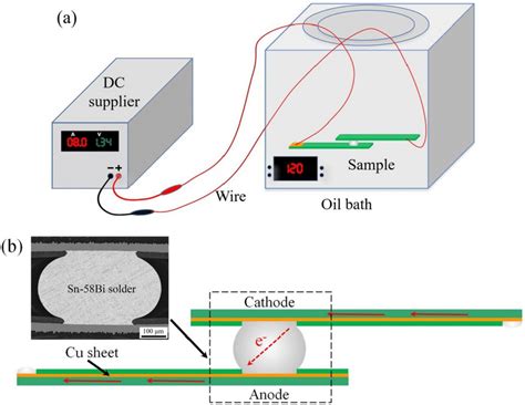 Schematic Diagram Of The Electromigration Test A 3 D Diagram Of The Download Scientific