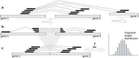 The Defuse Gene Fusion Discovery Method A Discordant Alignments Are