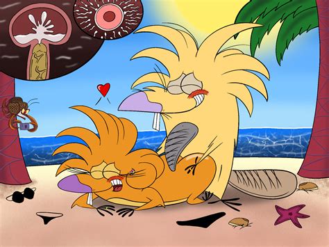 Rule 34 Beach Beaver Being Watched Blush Camera Canon Canon Couple