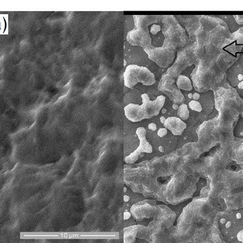 A Shows The Surface Sem Image Of 2 µm Thick Cuo Gdc Film Deposited At