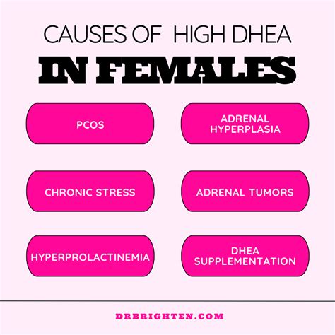 Pcos And How To Lower Dhea Levels Naturally