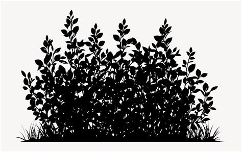Hedge Bushes Silhouette Illustration Leaves Free Vector Illustration