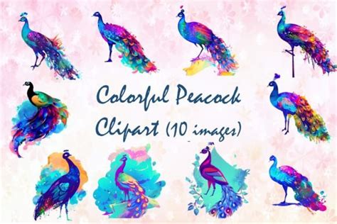 Colorful Peacock Clipart Graphic By Adithyes · Creative Fabrica
