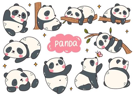 Cute Panda Doodles
