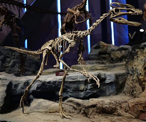Guanlong Wikipedia