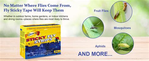 24 Pack Fly Traps Strips Indoor Outdoor Flies Paper