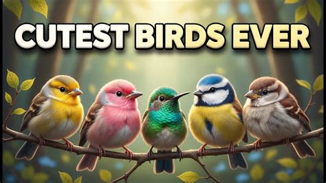 Worlds Cutest Birds Collection 🐦 Relaxing Nature Sounds Ultra