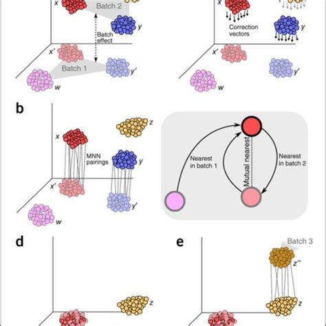 Batch Effect Correction Via Mnn A Batch 1 And Batch 2 In High
