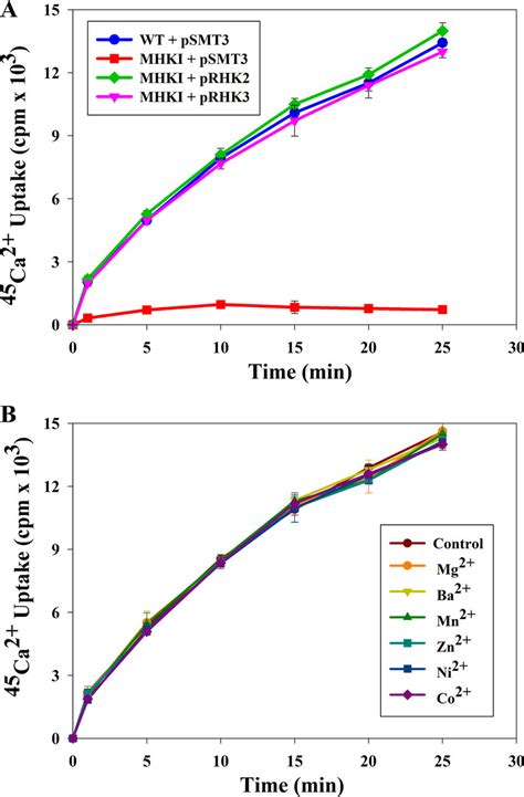 45 Ca 2 Uptake By Mycobacterium Smegmatis Strains A Mycobacterium Download Scientific