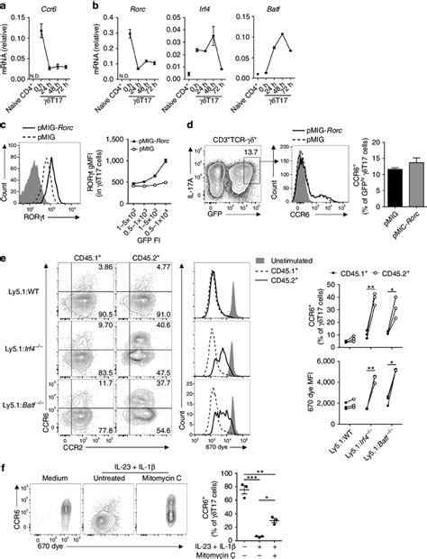 Irf4 And Batf Promote Ccr6 Downregulation In Cdt17 Cells A Ccr6 Download Scientific
