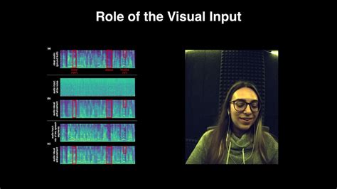 Audio Visual Speech Codecs Rethinking Audio Visual Speech Enhancement By Re Synthesis Cvpr