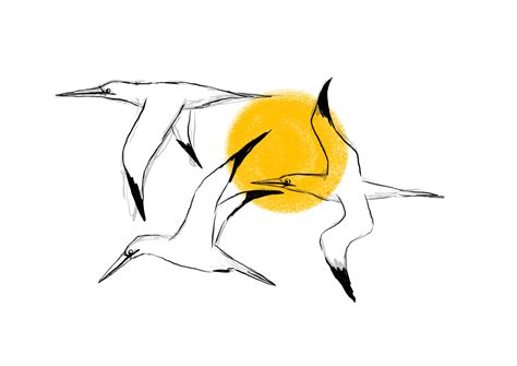 Woord Vooraf 13 Pluk