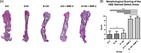 Histological Grading Of Defect Healing A Histological Staining Of Download Scientific Diagram