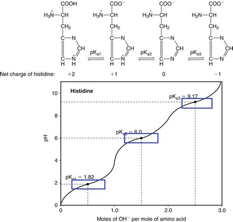 Solved 4 20a 10 Mm Solution Of Histidine Buffer Is Prepared At A