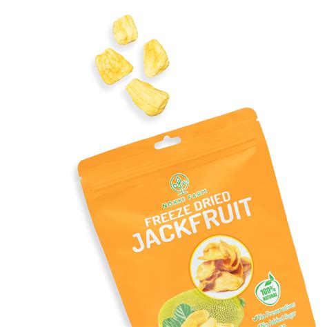 Freeze Dried Jackfruit Nokki Farm