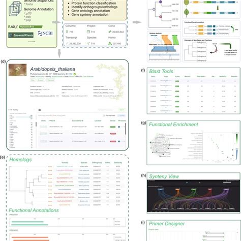 Pdf Pgcp A Comprehensive Database Of Plant Genomes For Comparative
