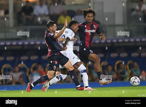 Remo Freuler Bologna Michael Folorunsho Hellas Verona Joshua Zirkzee Bologna During The