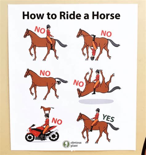 How To Ride In 2 Point Position 8 Steps With Pictures Artofit