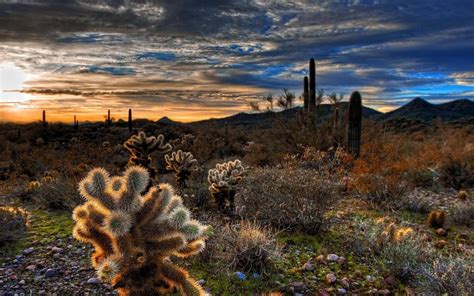 Nevada Desert Landscape Wallpapers 4k Hd Backgrounds On Wallpaperbat