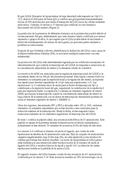 Gen Ldlr El Gen Ldlr Receptor De Lipoproteínas De Baja Densidad