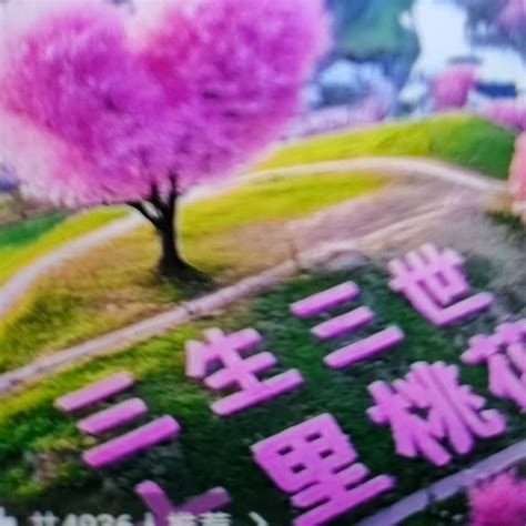 热播短剧《引朱砂》完整版大结局命运剧情转折