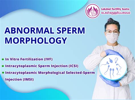 ABNORMAL SPERM MORPHOLOGY