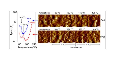 Key Insights Into The Differences Between Bimodal Crystallization Kinetics Of Polyamide 66 And