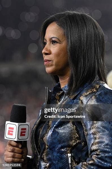 Espn Reporter Lisa Salters Reports From The Sideline Before The Nfl News Photo Getty Images