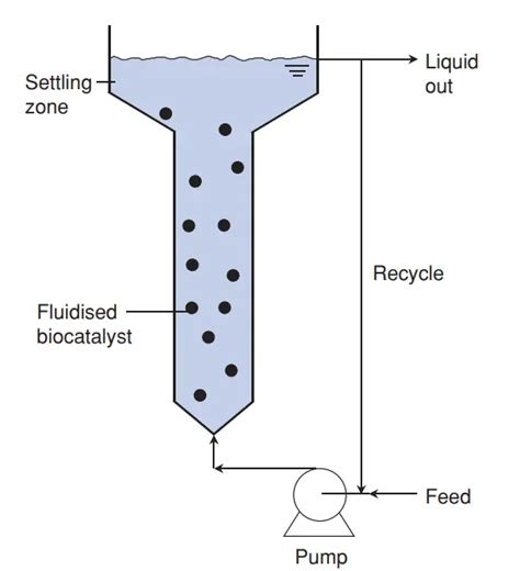 Fluidized Bed Bioreactor Notes At Rodney Swisher Blog