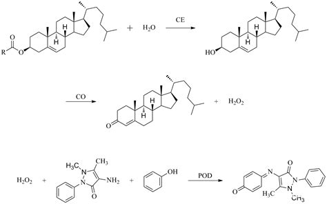 Total Cholesterol Assay Kit Colorimetric At Joyce Collins Blog